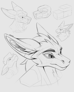Head Study